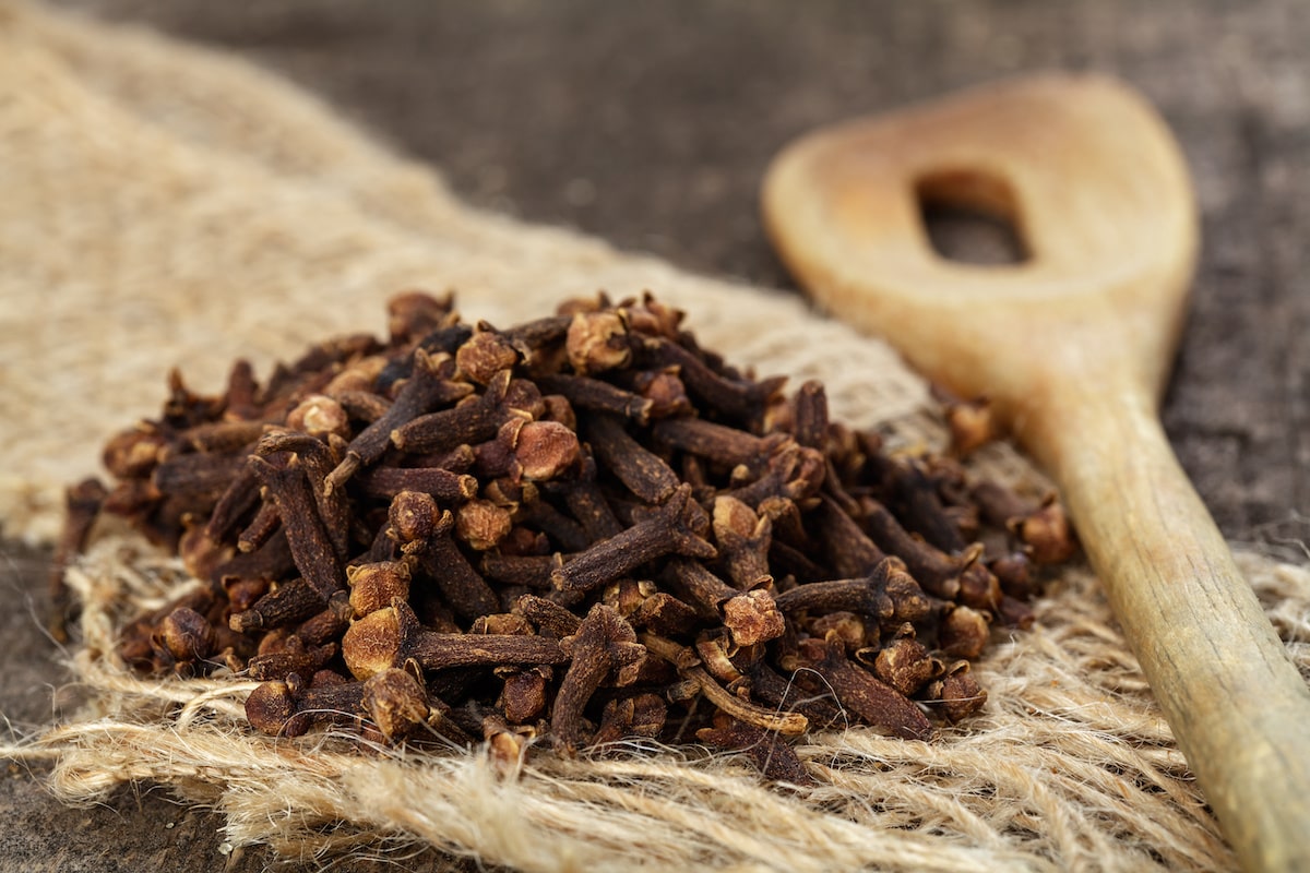 Gewürznelken im Keramiktopf kaufen | LAUX DELI